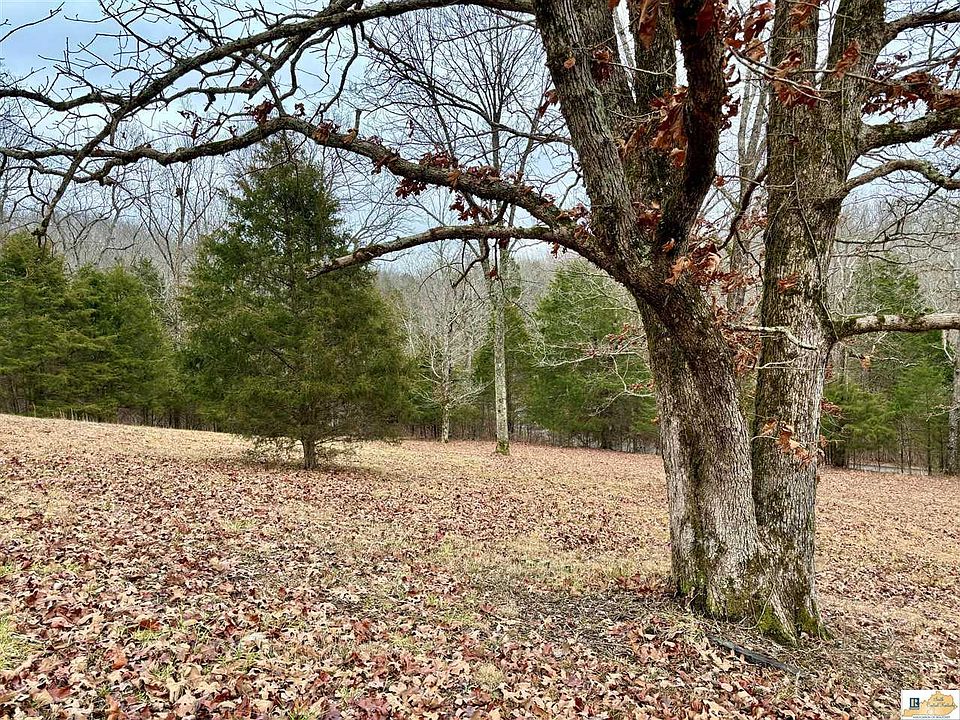 4422 Reese Hurt Rd, Edmonton, KY 42129 | Zillow