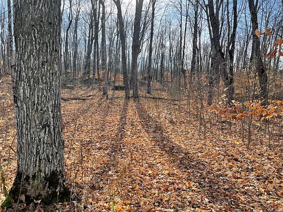 S Walding Rd, Drummond Island, MI 49726 | Zillow