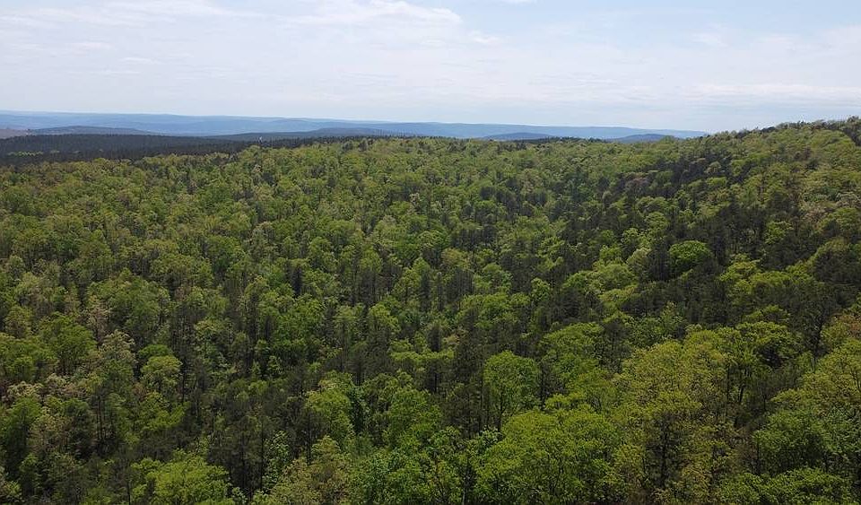 TRACT 18 Black Fork Trl, Nashoba, OK 74558 | MLS #11148808 | Zillow