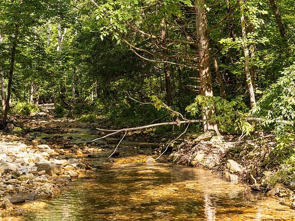 1001 Panther Hollow Rd, Seymour, MO 65746 | MLS #11524443 | Zillow