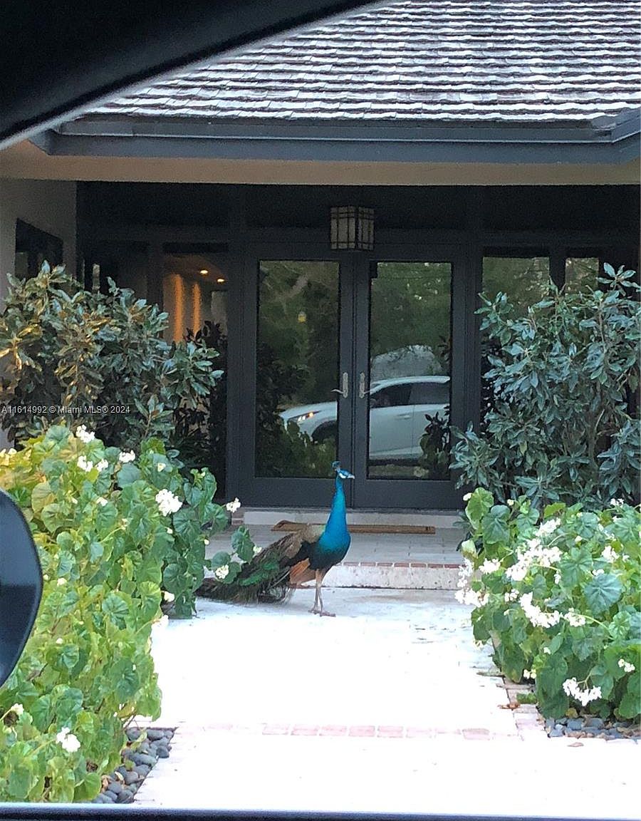 6590 SW 96th St, Pinecrest, FL 33156 | Zillow