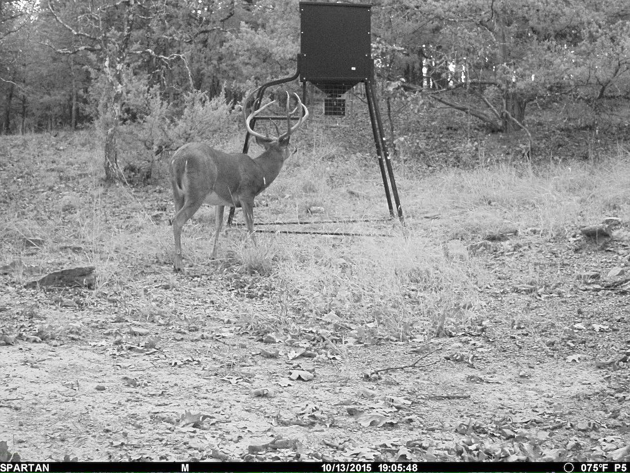 Ew 139, Calvin, OK 74531 | Zillow