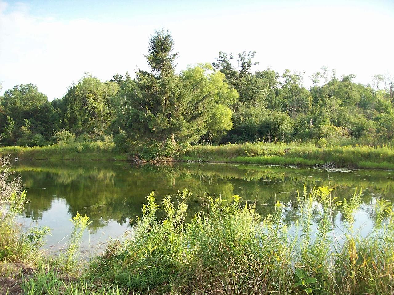 W2102 County Road B, Dalton, WI 53926 | MLS #1942009 | Zillow