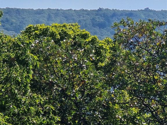 Rural Rte, Monroe, OK 74947 | MLS #2429705 | Zillow