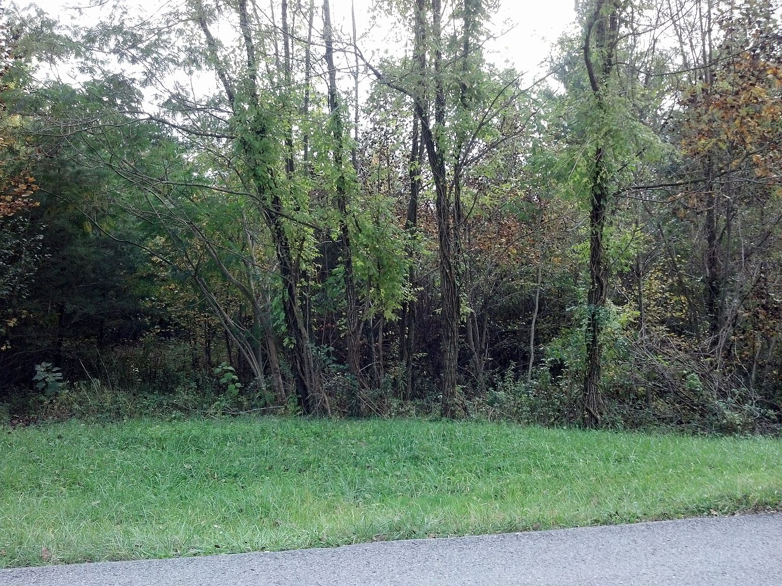 Ashley Ln #PARCEL198, Oneida, TN 37841 | Zillow
