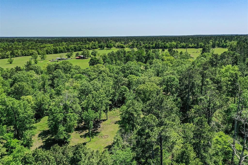 Reese Rd, Pennington, TX 75856 | MLS #69786617 | Zillow