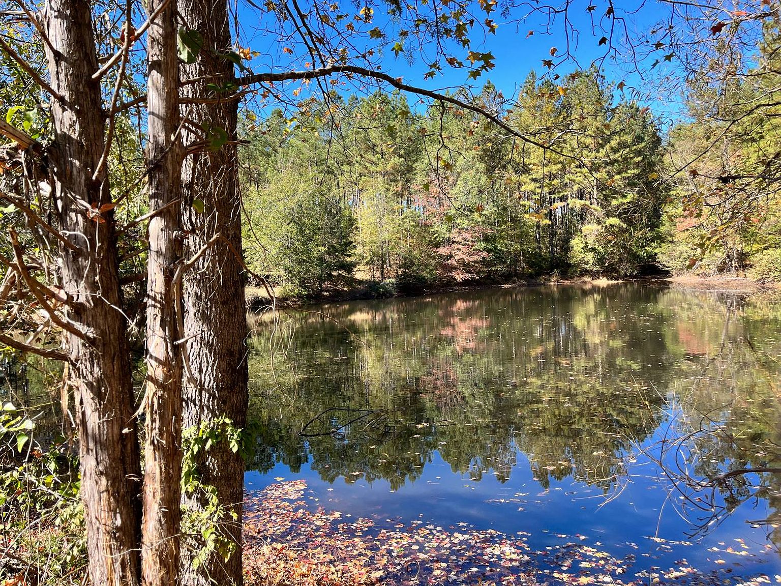 220 Crooks Rd, Abbeville, SC 29620 | MLS #11221496 | Zillow