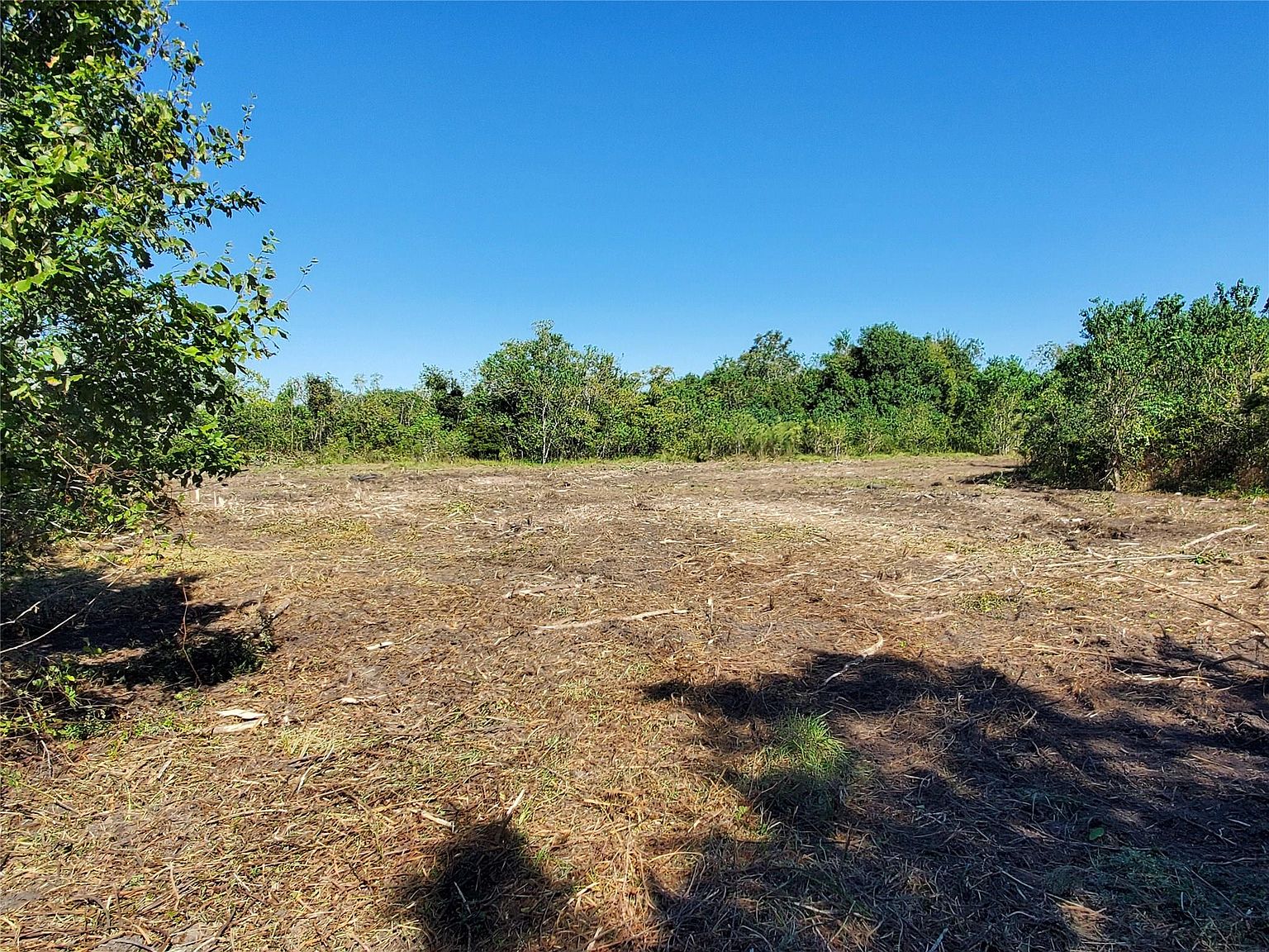 1305 Rymal Re Plat, Alvin, TX 77511 | Zillow