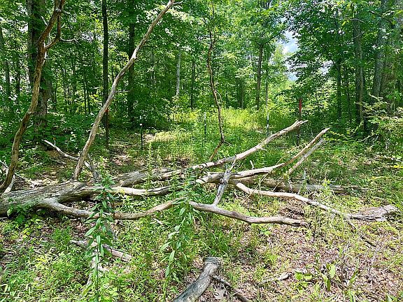 0 Trammel Rd, Strunk, KY 42649 | Zillow