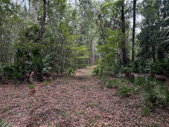 NW 150th Avenue Rd, Micanopy, FL 32667 | Zillow