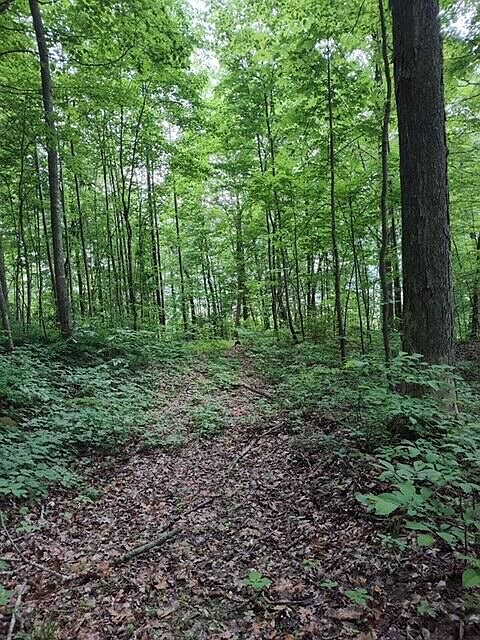 0 Noland Hill Rd, Irvine, KY 40336 | Zillow