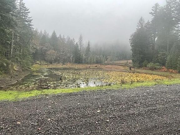 18150 Zenia Lake Mountain Rd, Zenia, CA 95595 | MLS #265873 | Zillow