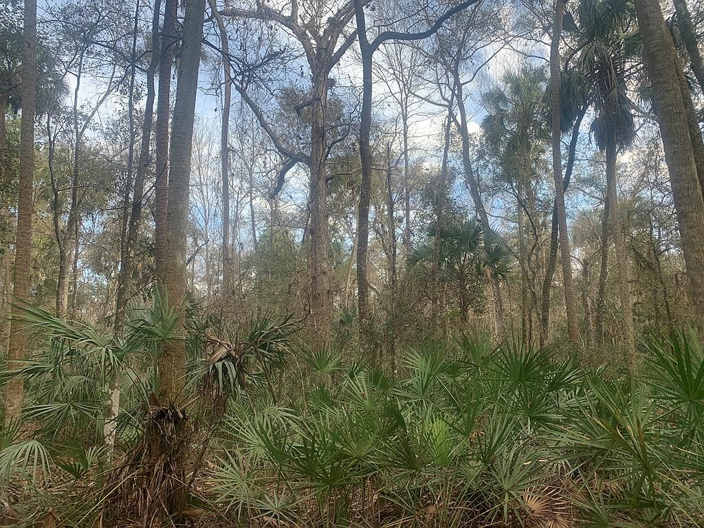 3411 SE 87th Ln, Inglis, FL 34449 | Zillow