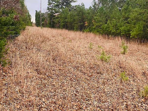 45 Lofton Rd, Calico Rock, AR 72519 | MLS #25001983 | Zillow