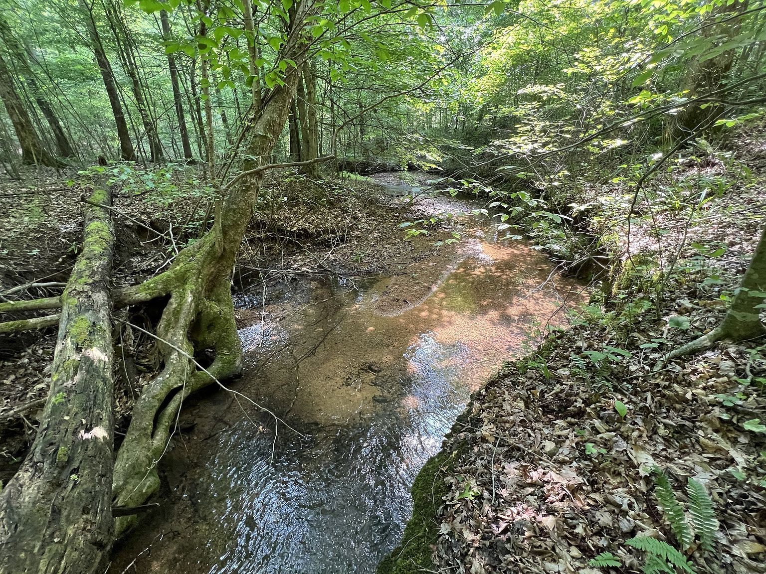 0 Morgan Branch Rd, Centerville, TN 37033 | Zillow