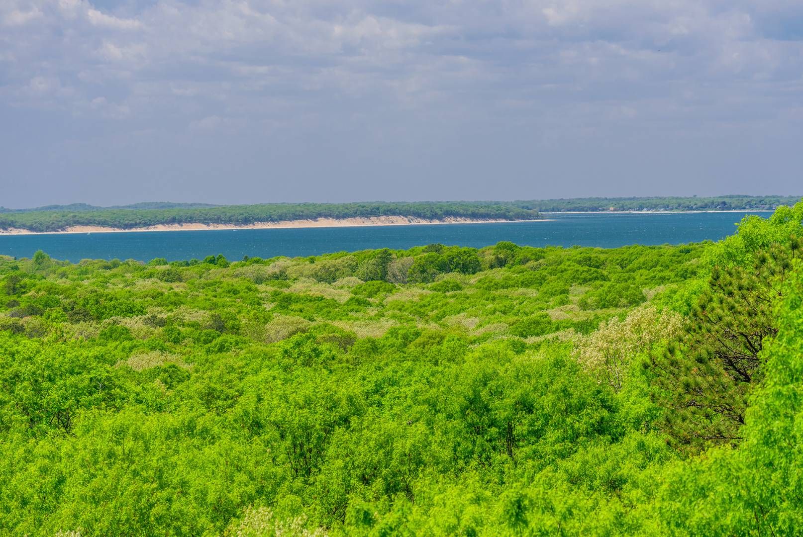 28 Deer Ridge Trail, Water Mill, NY 11976 | Out East