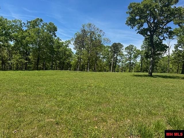 009-03000-006 Mercedes Loop, Norfork, AR 72658 | MLS #131241 | Zillow