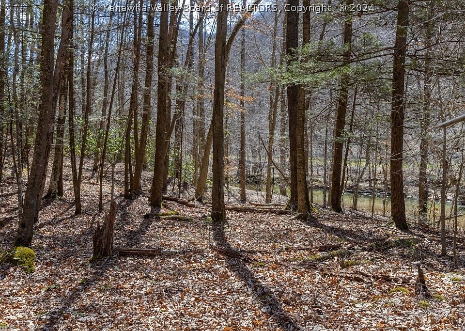 18196 Sycamore Creek Rd, Indore, WV 25111 | Zillow