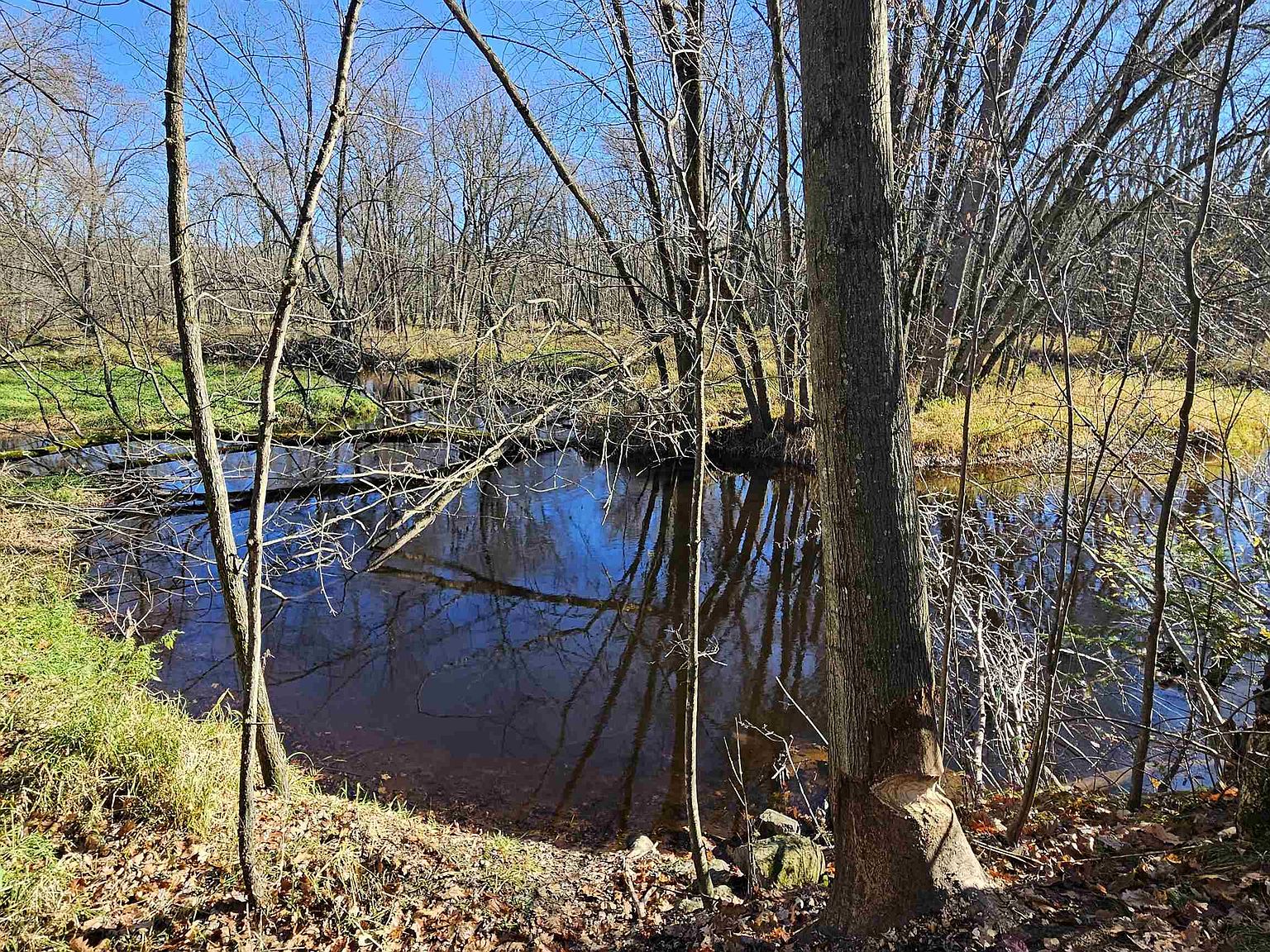 County Road J, Tigerton, WI 54486 | Zillow