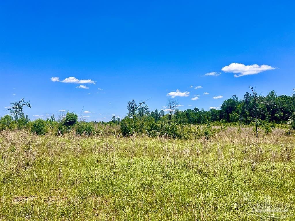 13 Cotton Lake Rd #C, Molino, FL 32577 | MLS #642843 | Zillow