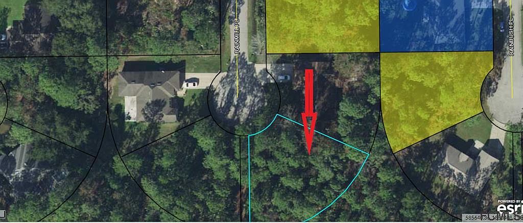 13 Rainmill Pl, Palm Coast, FL 32164 | Zillow