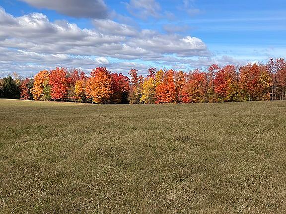 N102999 State Highway 41, Daggett, MI 49821 | Zillow