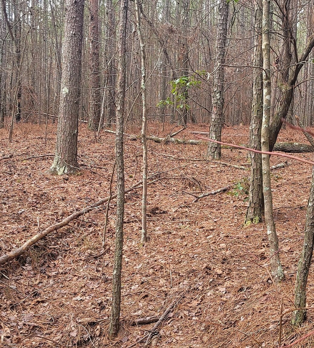 0 Alabama Hwy, Rome, GA 30165 | Zillow