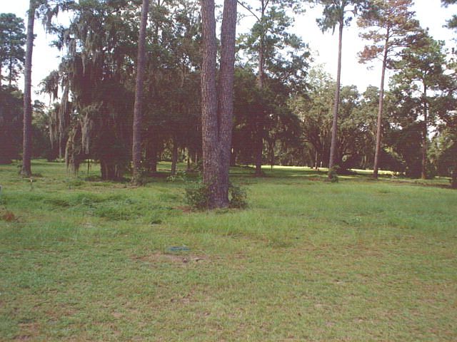 26 Sutherland Bluff Dr, Townsend, GA 31331 | Zillow