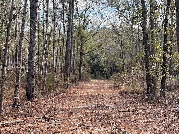 300D Sardis Rd, Ridgeland, SC 29936 | MLS #450124 | Zillow