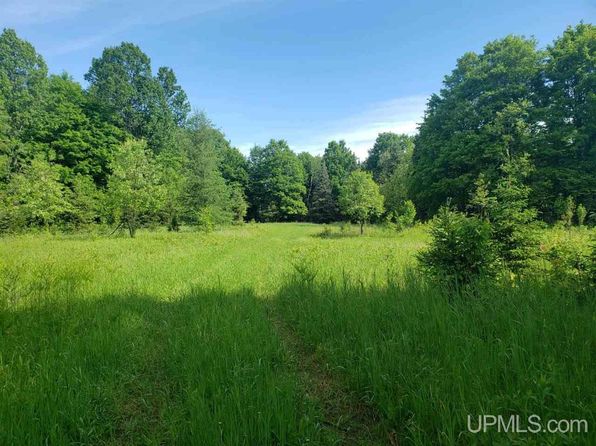 Channing Real Estate - Channing MI Homes For Sale | Zillow