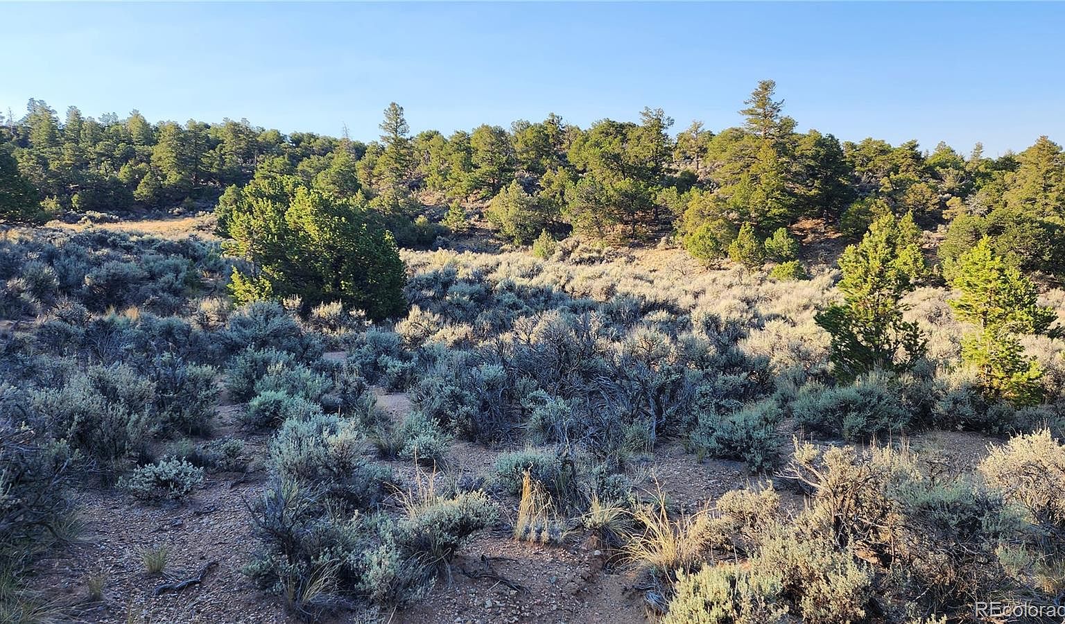 3998 Keating Road, Fort Garland, CO 81133 | Zillow