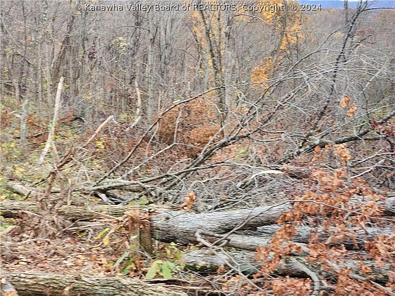 0 Beechy Rd, Lizemores, WV 25125 | MLS #272022 | Zillow