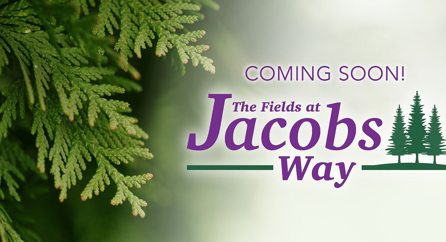 The Fields at Jacobs Way by Kay Builders in Harleysville PA | Zillow