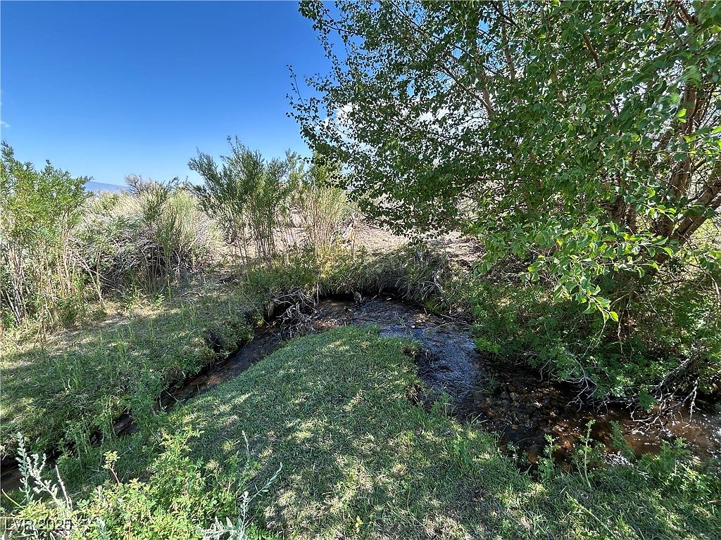 780 Davis Meadow Trl, Dyer, NV 89010 | Zillow