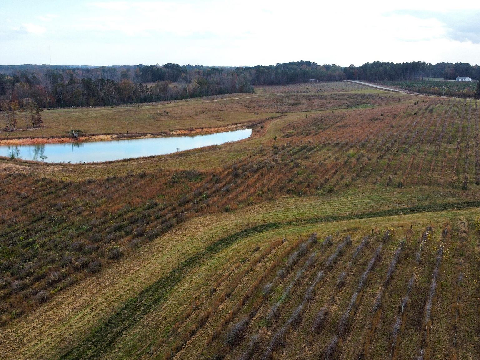 1 Duke Valentine Wynne Rd #7, Louisburg, NC 27549 | Zillow