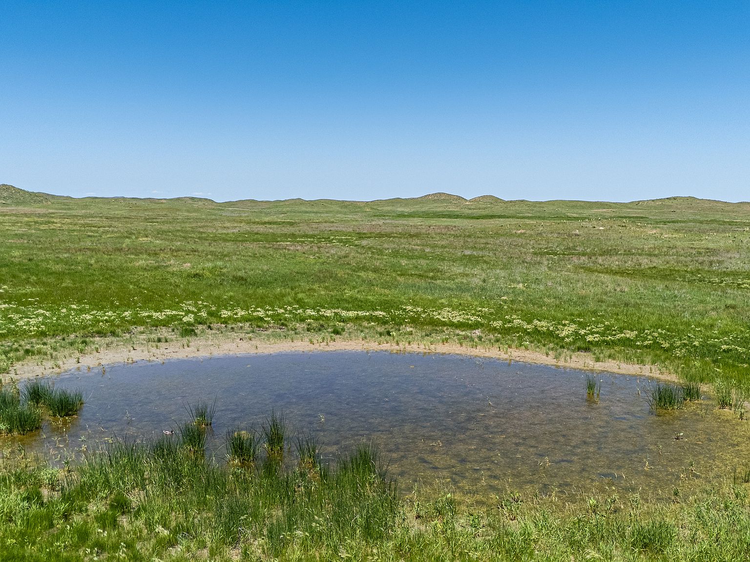 0 S Highway 385, Angora, NE 69331 | MLS #11535768 | Zillow