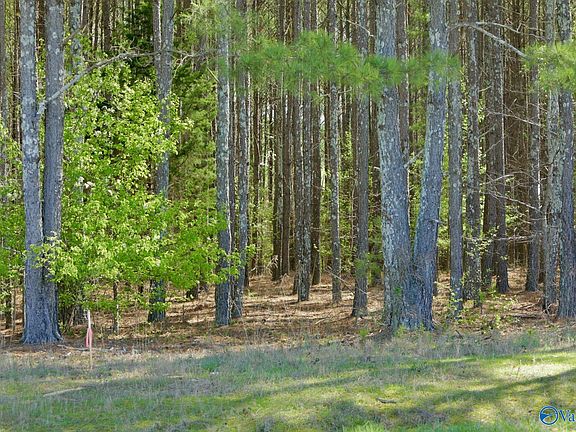 County Road 212, Centre, AL 35960 | Zillow