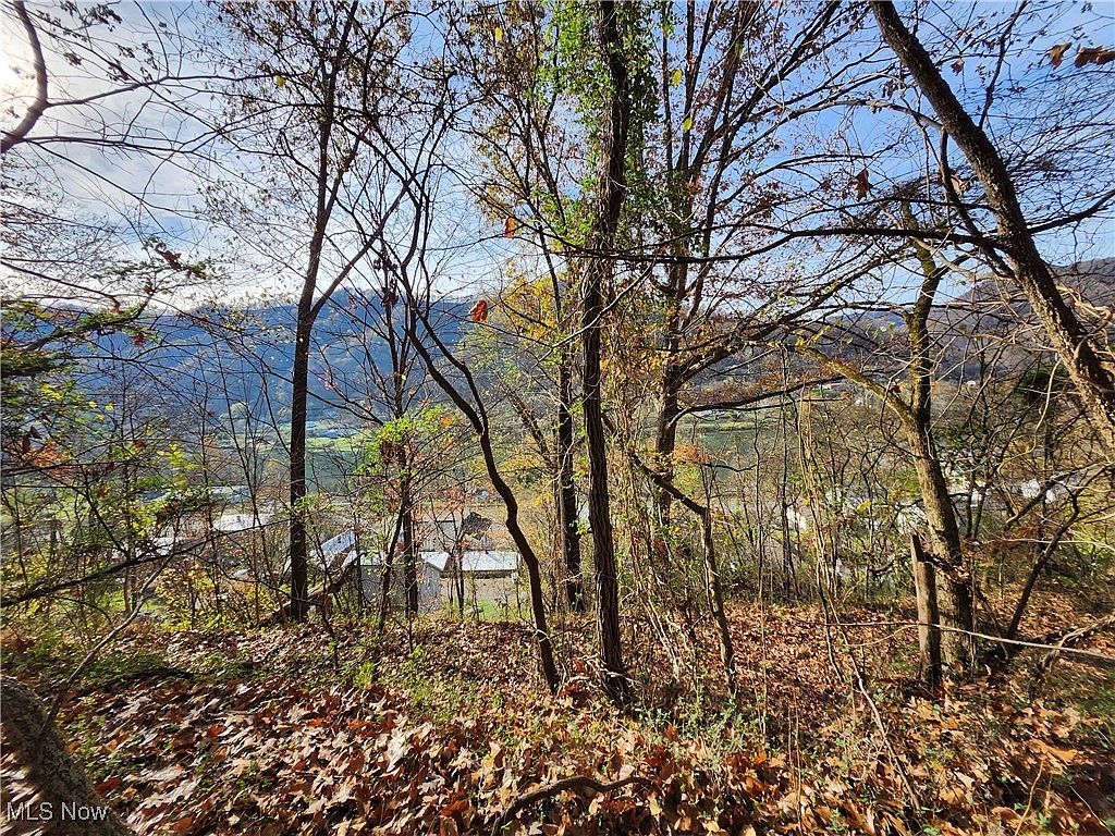 8 73/kana, Charlton Heights, WV 25040 | MLS #5086529 | Zillow