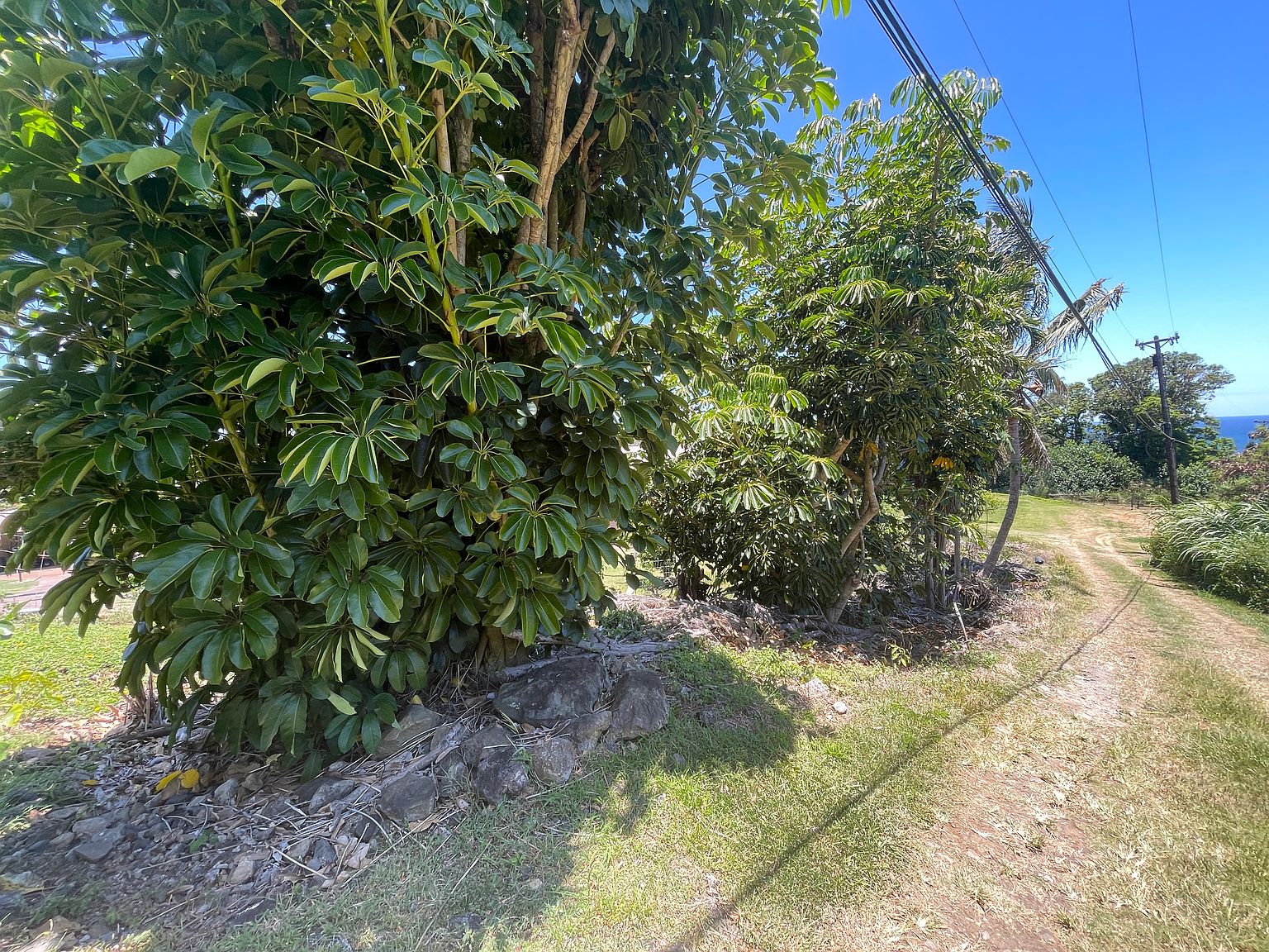 52-219 Poni Poni Pl, Kapaau, HI 96755 | Zillow
