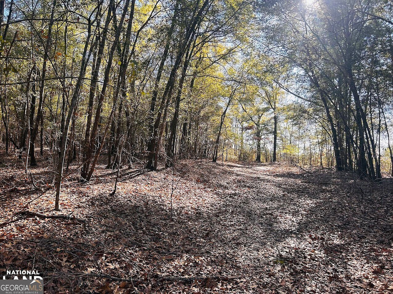 0 Harrison Mill Rd, Coleman, GA 39836 | MLS #10443671 | Zillow