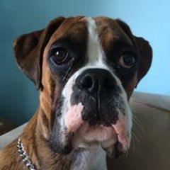 George Scull | Zillow