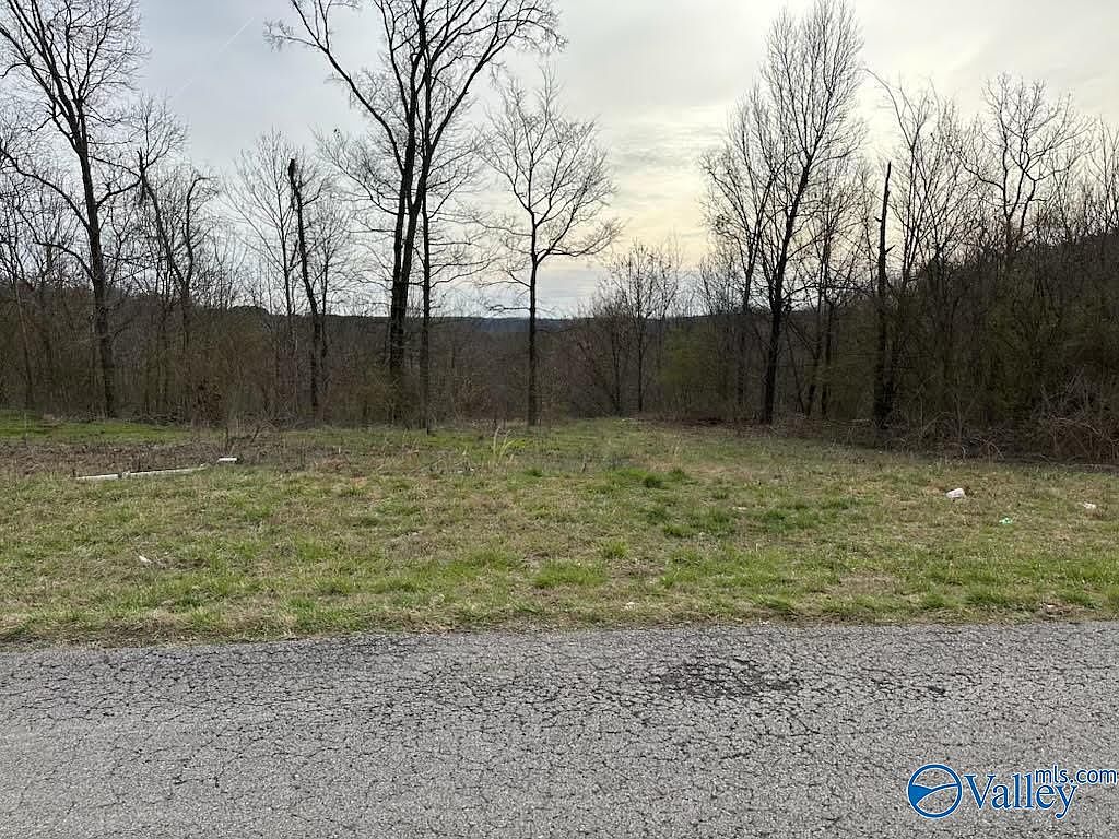 4.75 Tinner Mayo Rd, Union Grove, AL 35175 | Zillow