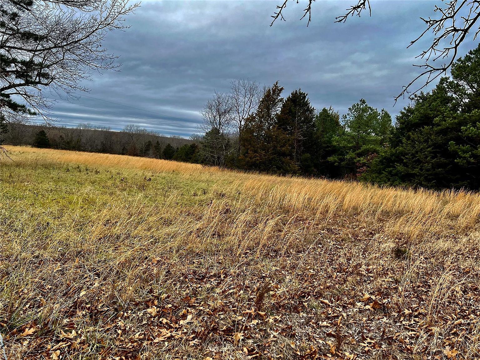 22389 State Highway T, Newburg, MO 65550 | Zillow