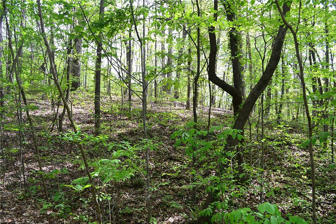 0 Cane Creek Dr, Seneca, SC 29672 | MLS #20286473 | Zillow