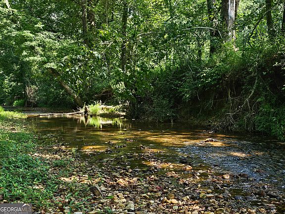 3 Gum Creek Airport Rd, Roopville, GA 30170 | MLS #10432802 | Zillow