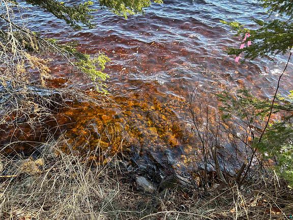 Fernberg Rd UNIT 5, Ely, MN 55731 | MLS #6113735 | Zillow