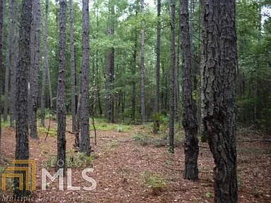 0 Hendricks Rd Metter, GA, 30439 - Apartments for Rent | Zillow