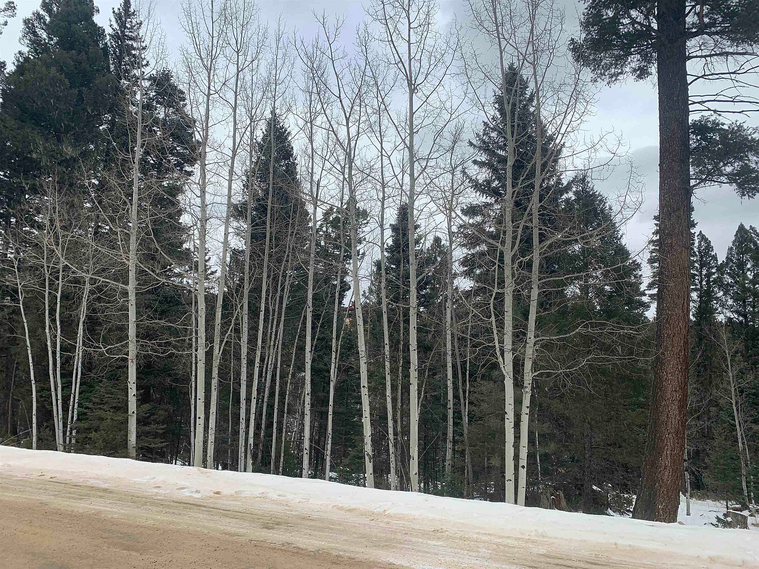 LOT 1017 Via Del Rey, Angel Fire, NM 87710 | MLS #109710 | Zillow