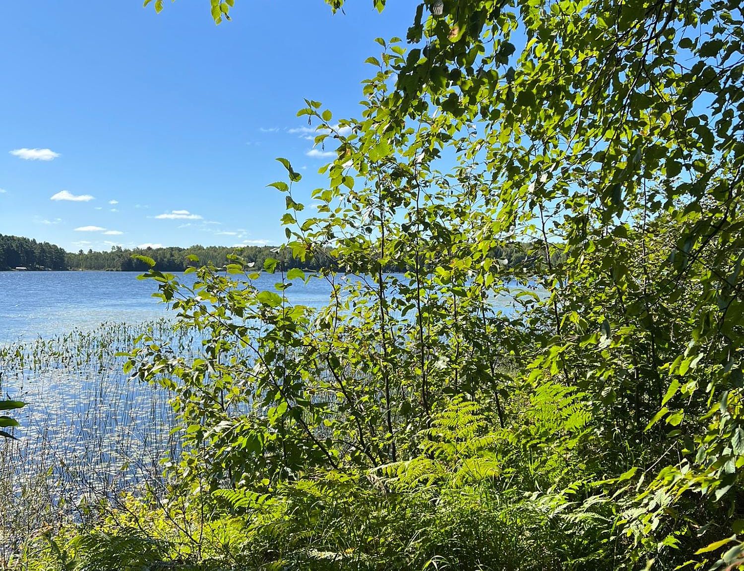 Booth Lake Rd, Minocqua, WI 54548 | MLS #214440 | Zillow