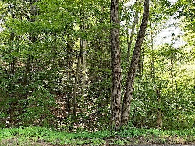 L11.12 Alcove Road, Coeymans Hollow, NY 12046 | Zillow